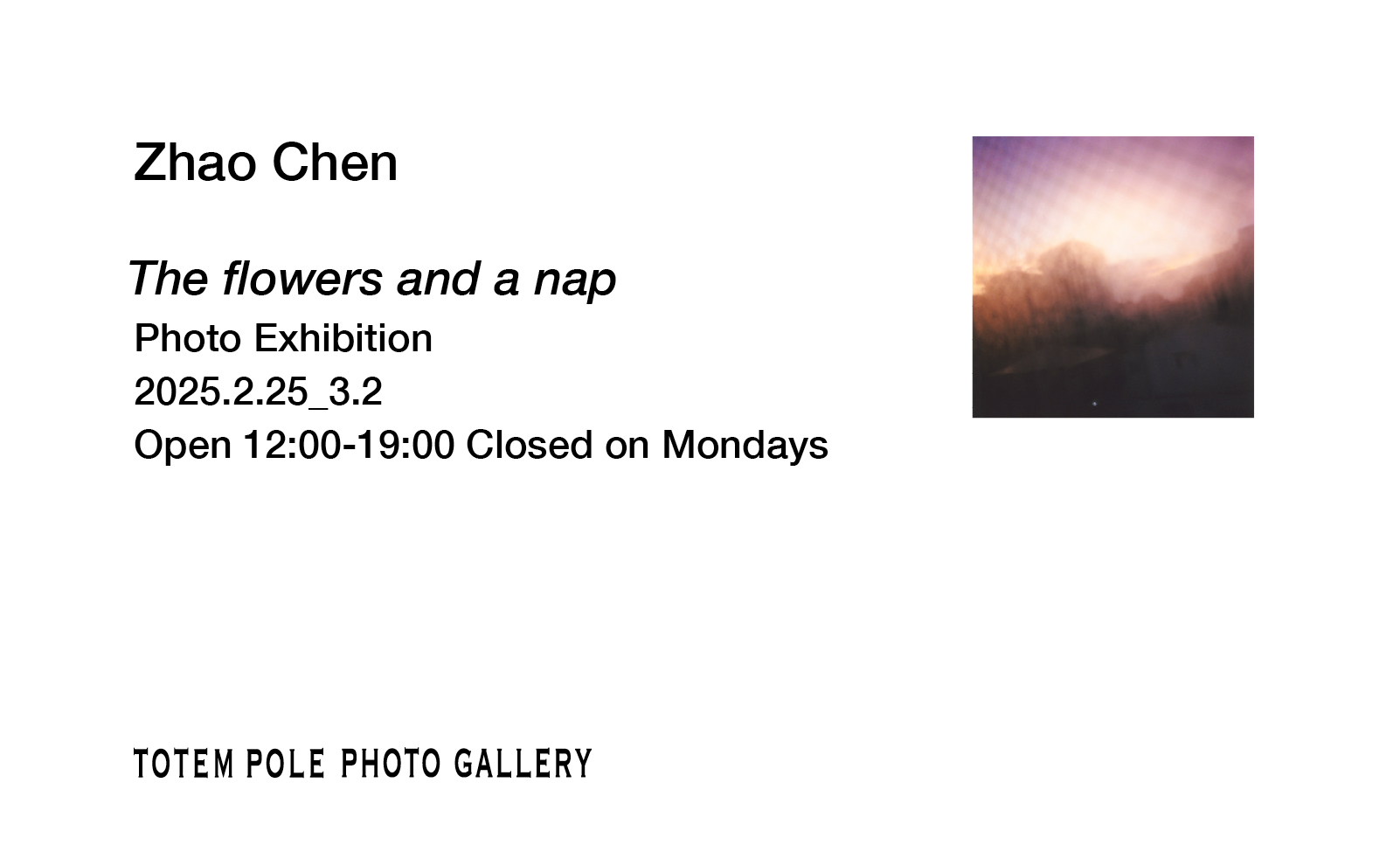 Zhao Chen - 金丸真株式会社